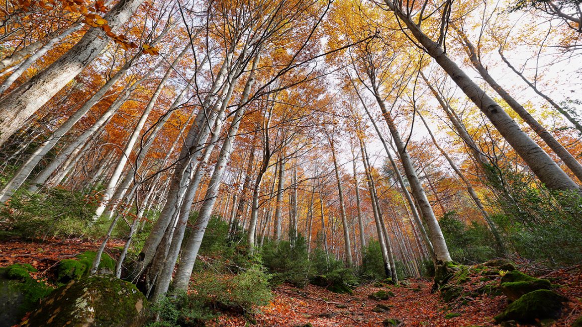 Vivir el Senderismo | Rutas en la Comunidad Valenciana, España y el ...